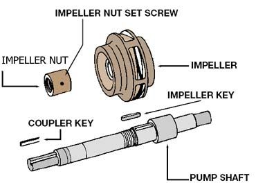 BELL & GOSSETT P78932 Shaft Assembly VSC VSCS Pumps 11 lbs | eBay