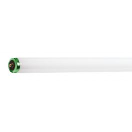 Philips 372821 High Output Linear Fluorescent Lamp 75 W (96 in) F96T12 ...