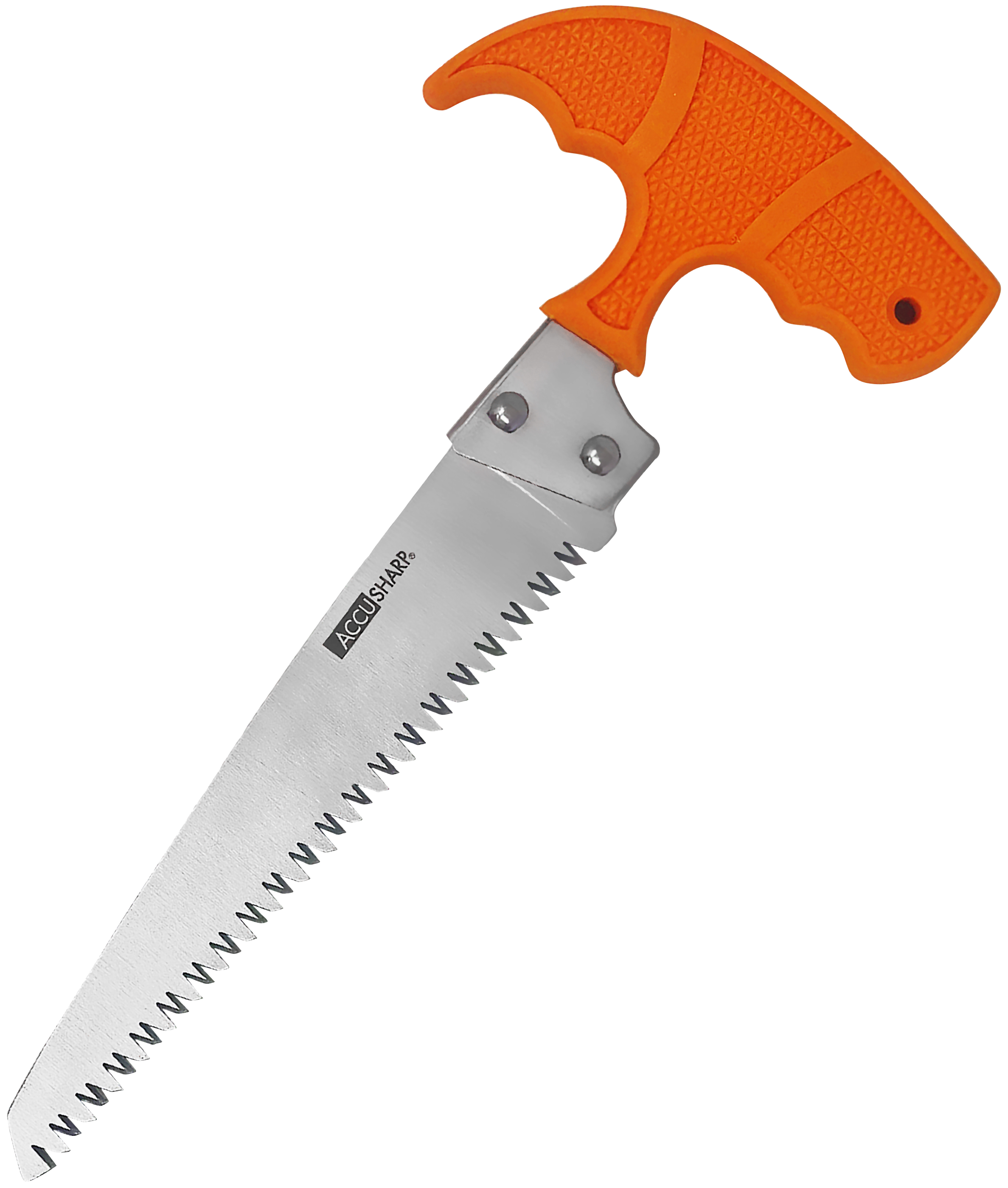 Accusharp 730c Bone Saw Fixed 6" Stainless Steel Blade- Blaze Orang ...