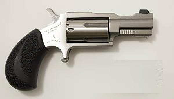Bug Out II - NAA-22M-TB-744253002977 - Revolvers at GunBroker.com ...