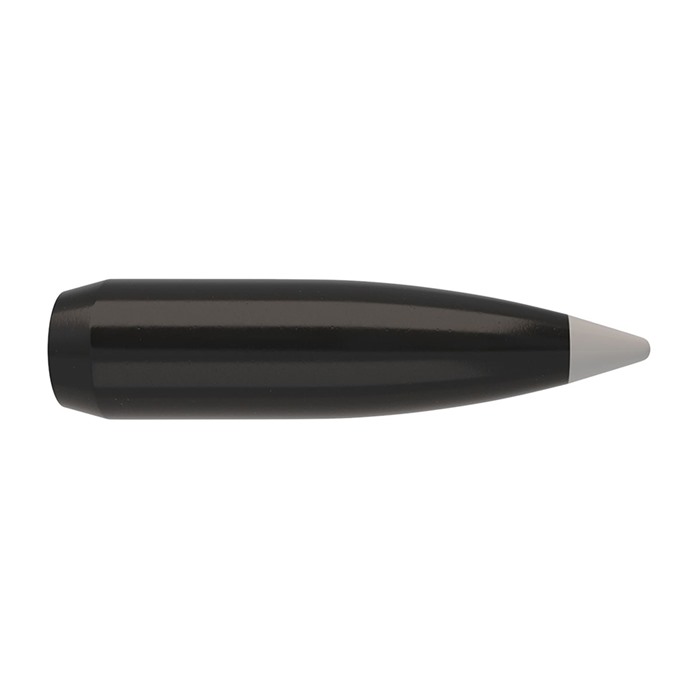 Nosler Ballistic Silvertip Hunting Bullets .30 Cal. 168 gr. Spitzer ...
