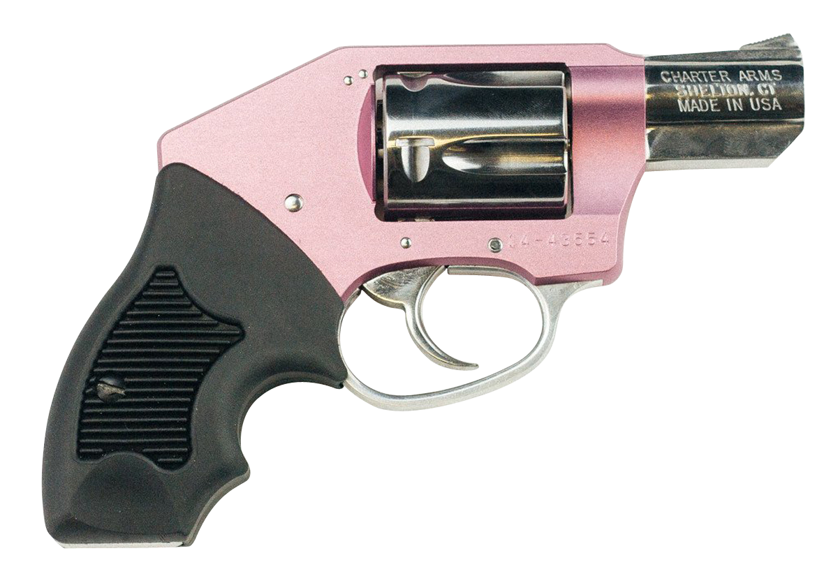 Charter Arms 53852 Chic Lady Off Duty Small 38 Special - Revolvers at ...