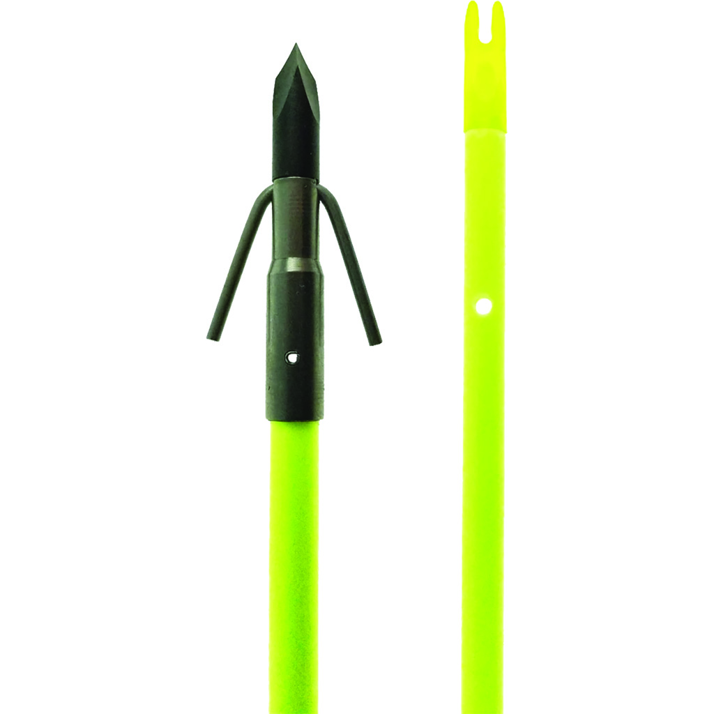 Muzzy classic fish arrow chartreuse with gar point - Bows at GunBroker ...