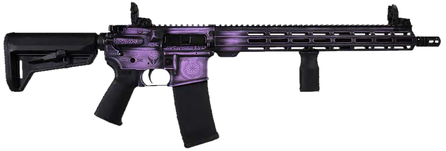 Shark coast tactical valkyrie deluxe 5.56 nato, 16" barrel, 30 rnd ...