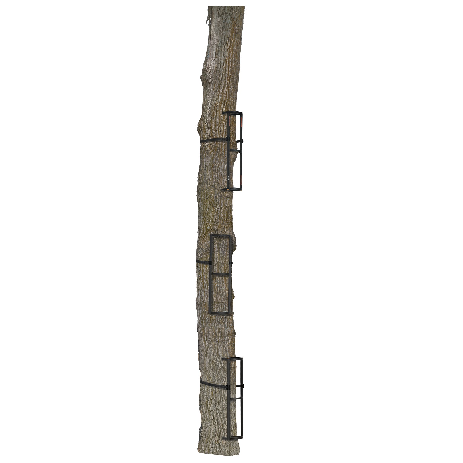 Muddy stagger steps 3pack - Hunting Accessories at GunBroker.com ...